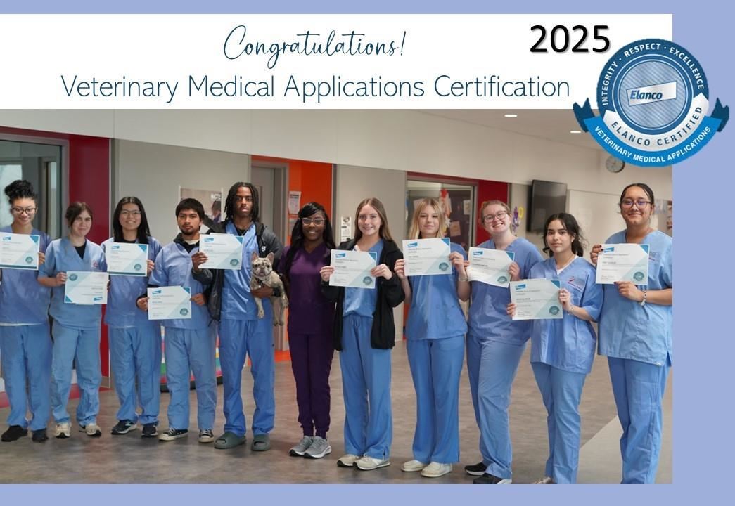 Vet Med Students Achieve Certification, Gain Hands-on Clinical Experience