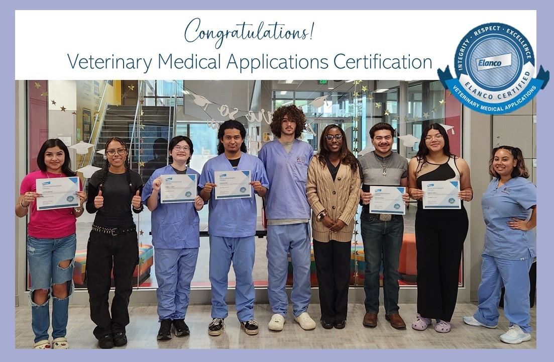 Vet Med Students Achieve Certification, Gain Hands-on Clinical Experience