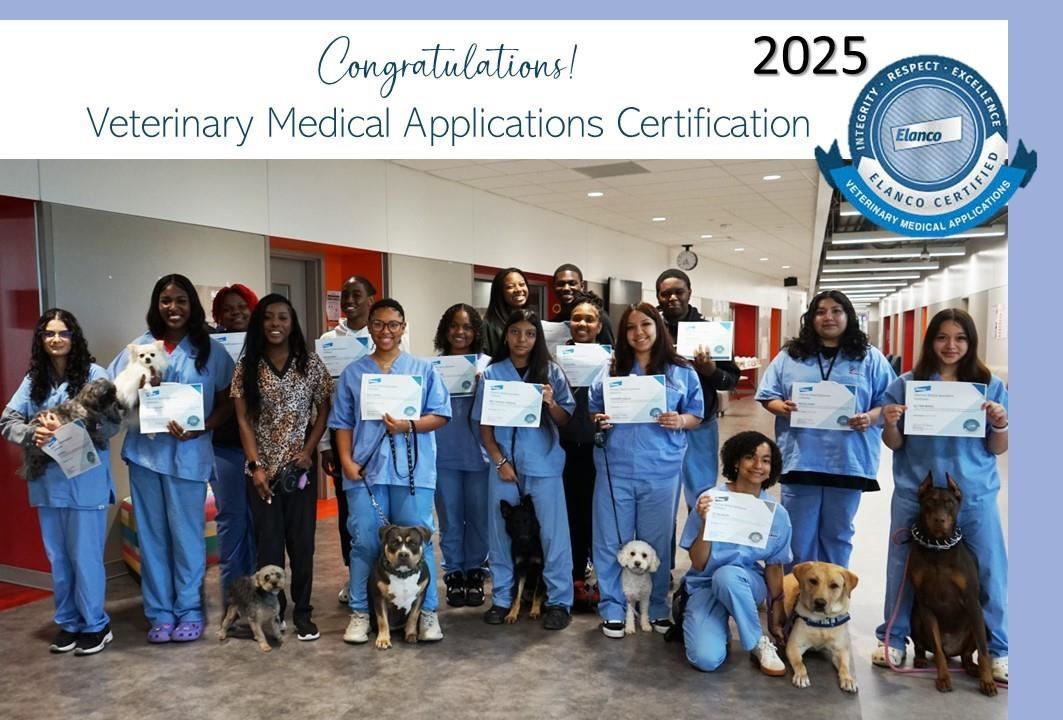 Vet Med Students Achieve Certification, Gain Hands-on Clinical Experience