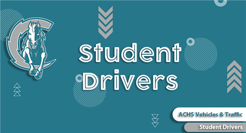 Parking Permits / Vehicle and Parking Information