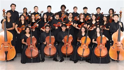 Orchestra / Chamber and Cadenza Orchestra