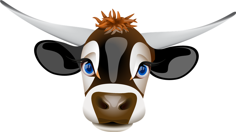 James C. Neill Elementary / Homepage