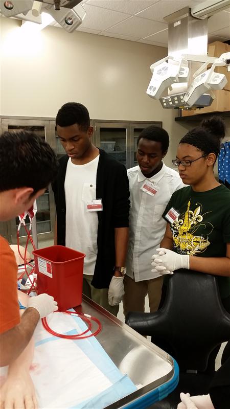 Medical Science Academy / Academy