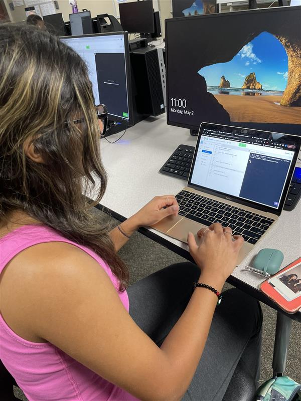 Career & Technical Education / Engineering